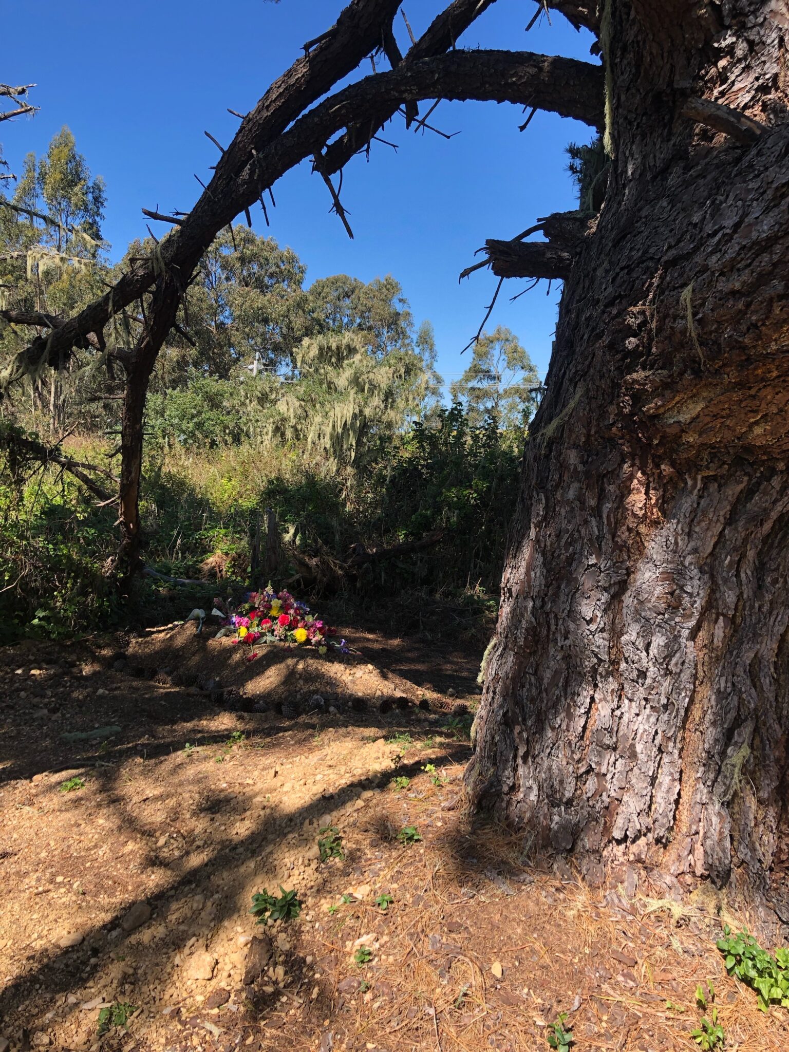 Purissima Cemetery, San Francisco, California - Destination Destiny