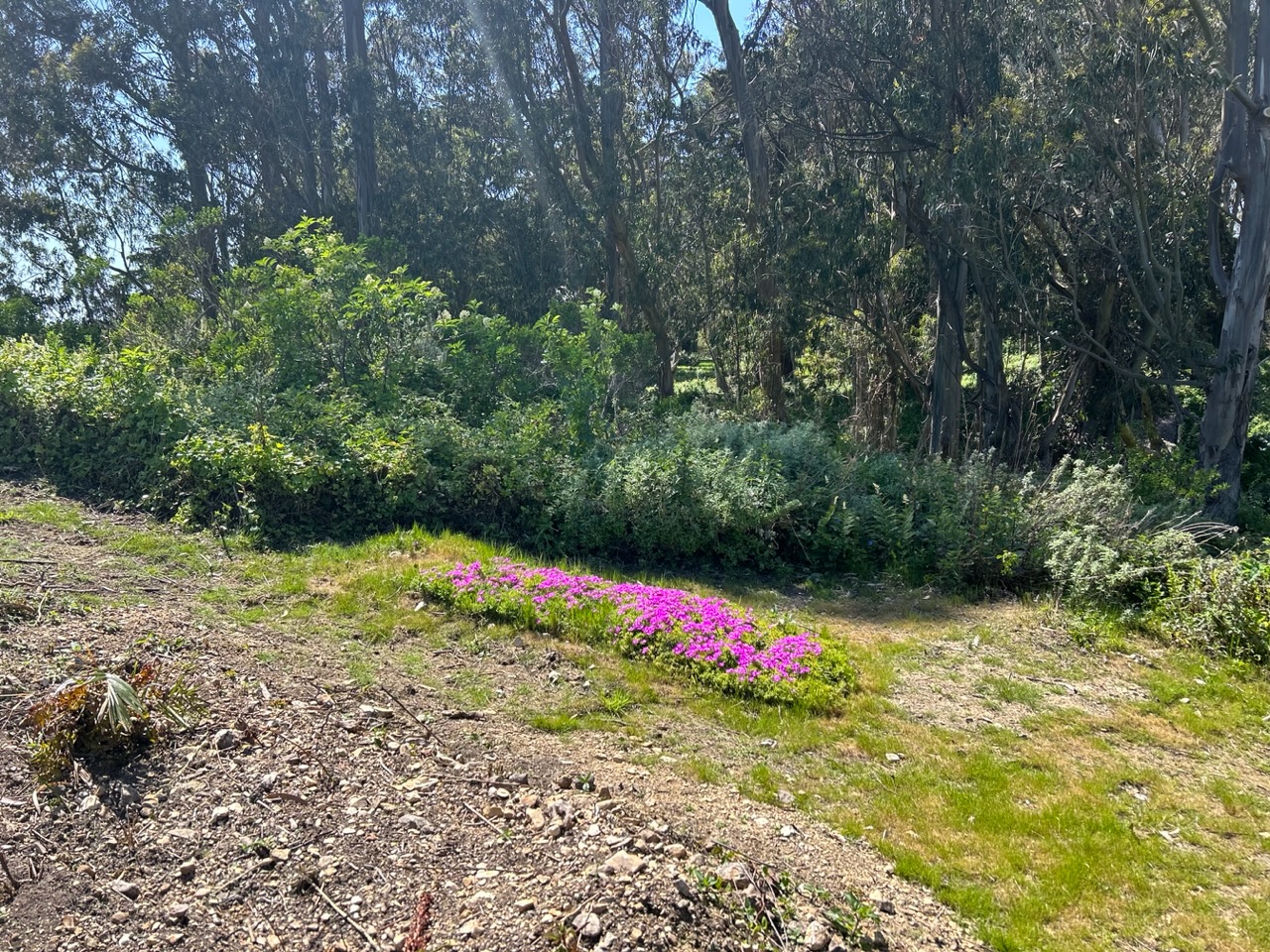 Purissima Cemetery, San Francisco, California - Destination Destiny