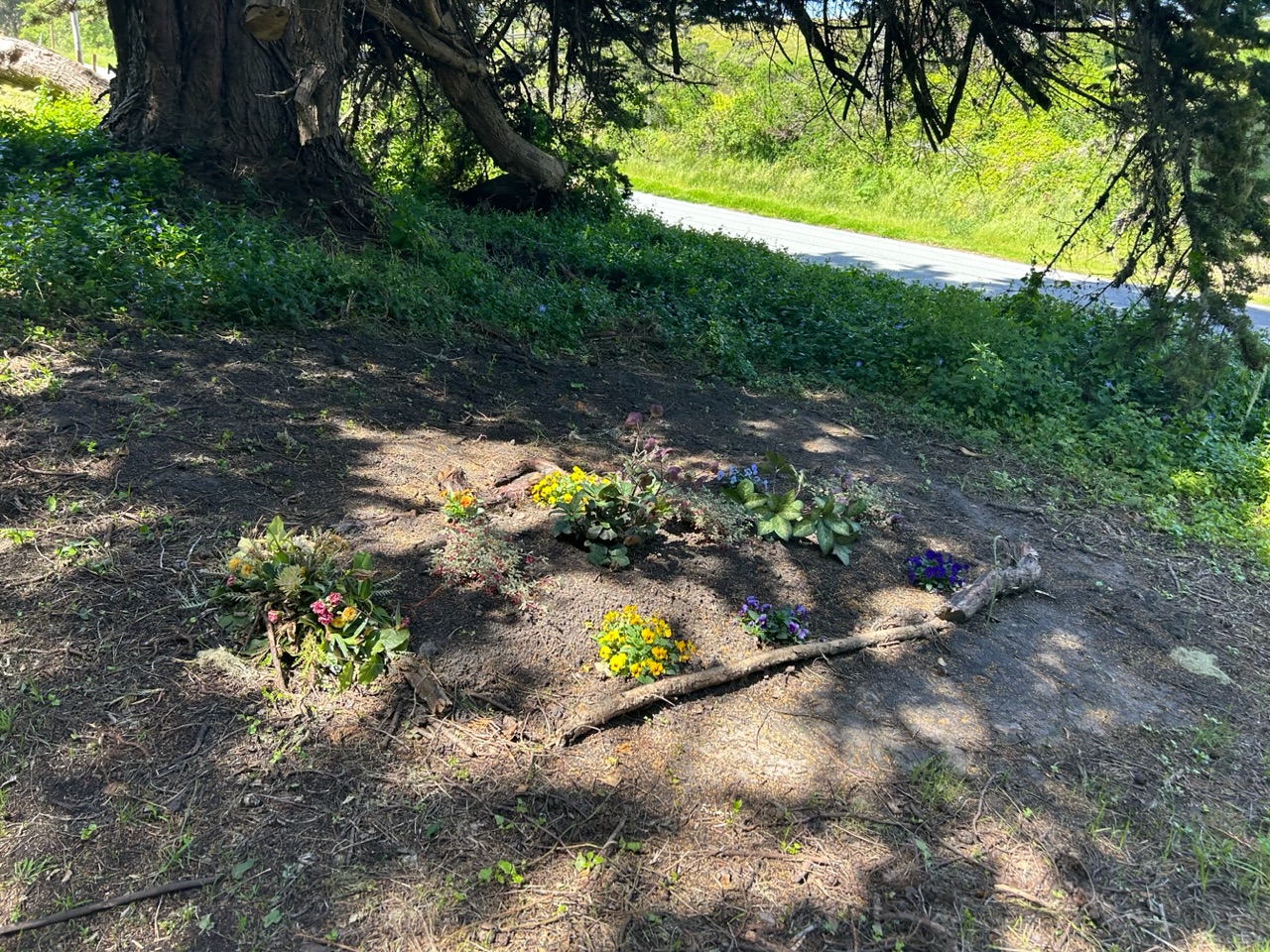Purissima Cemetery, San Francisco, California - Destination Destiny