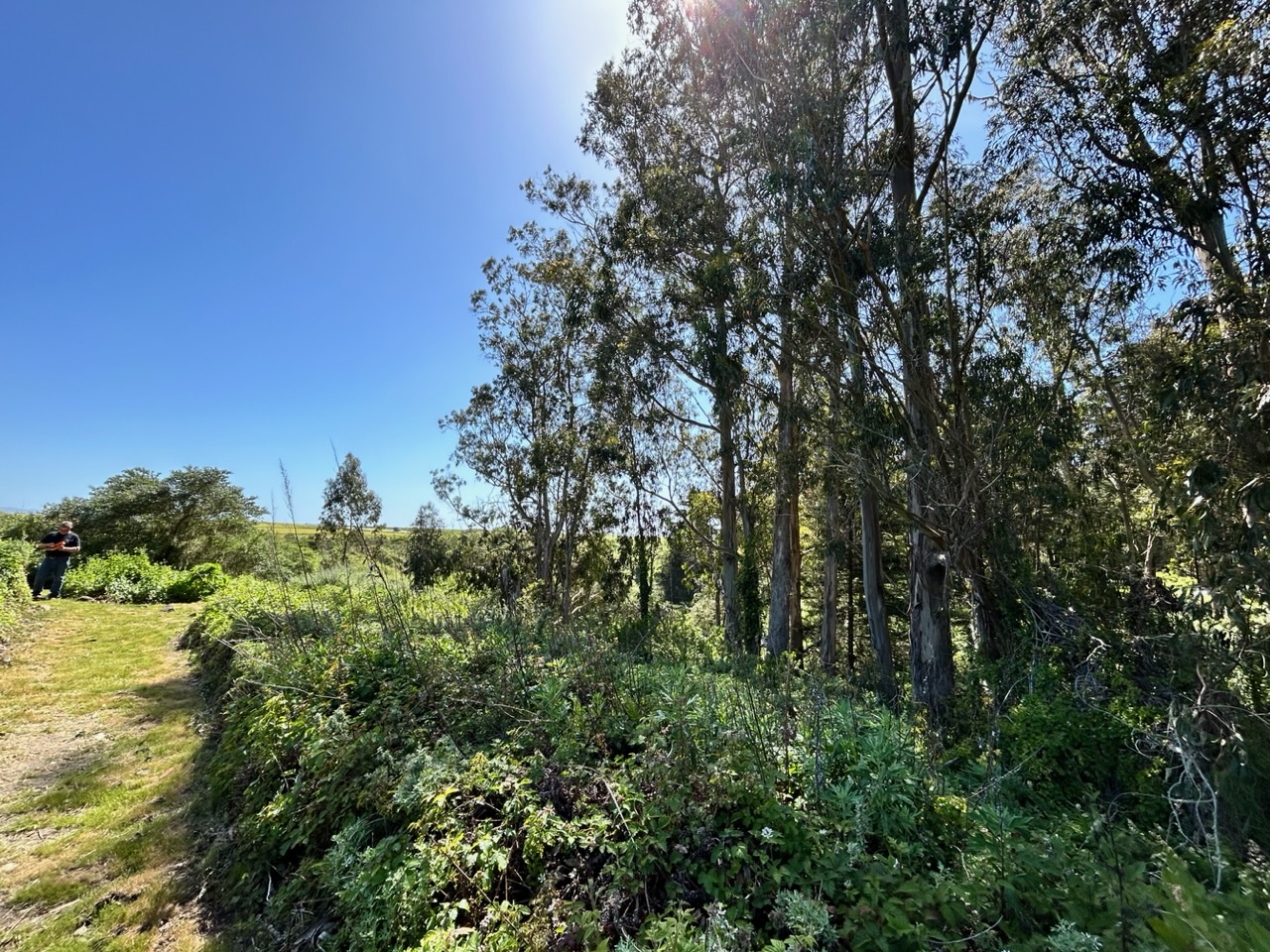 Purissima Cemetery, San Francisco, California - Destination Destiny