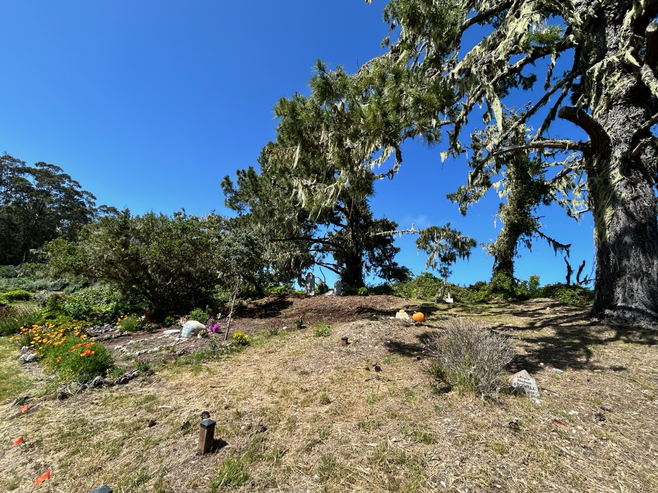 Purissima Cemetery, San Francisco, California - Destination Destiny