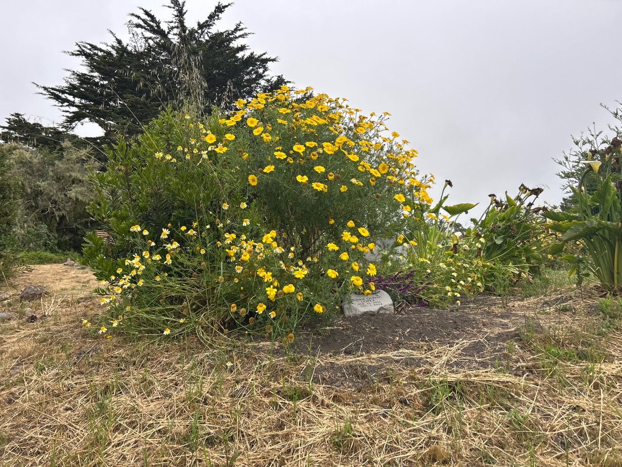 Purissima Cemetery, San Francisco, California - Destination Destiny